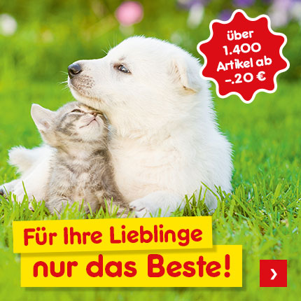 Netto Marken-Discount | Vielfältiges Sortiment zu günstigen Preisen