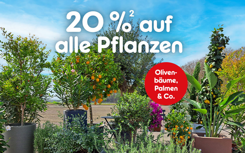 Fabelhafte Pflanzen Auf Rechnung Ebenbildbrend9712