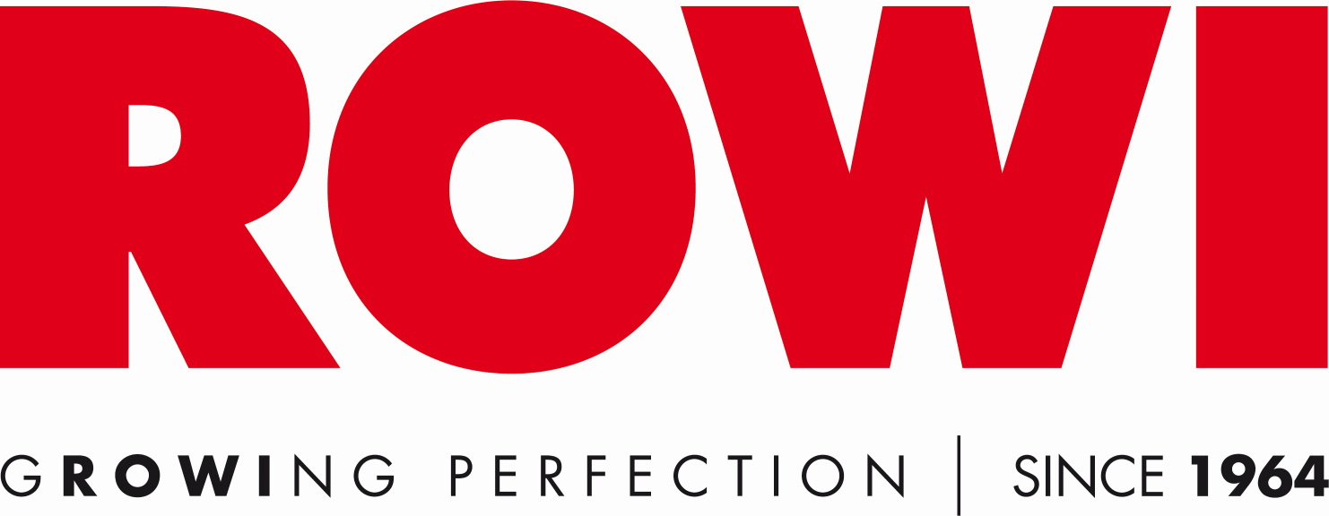 Weihnachtswelt & Geschenkideen bei Netto online