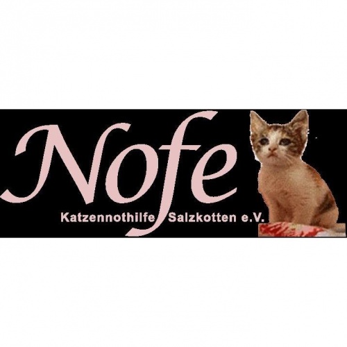 Netto Marken-Discount - Vereine Überblick